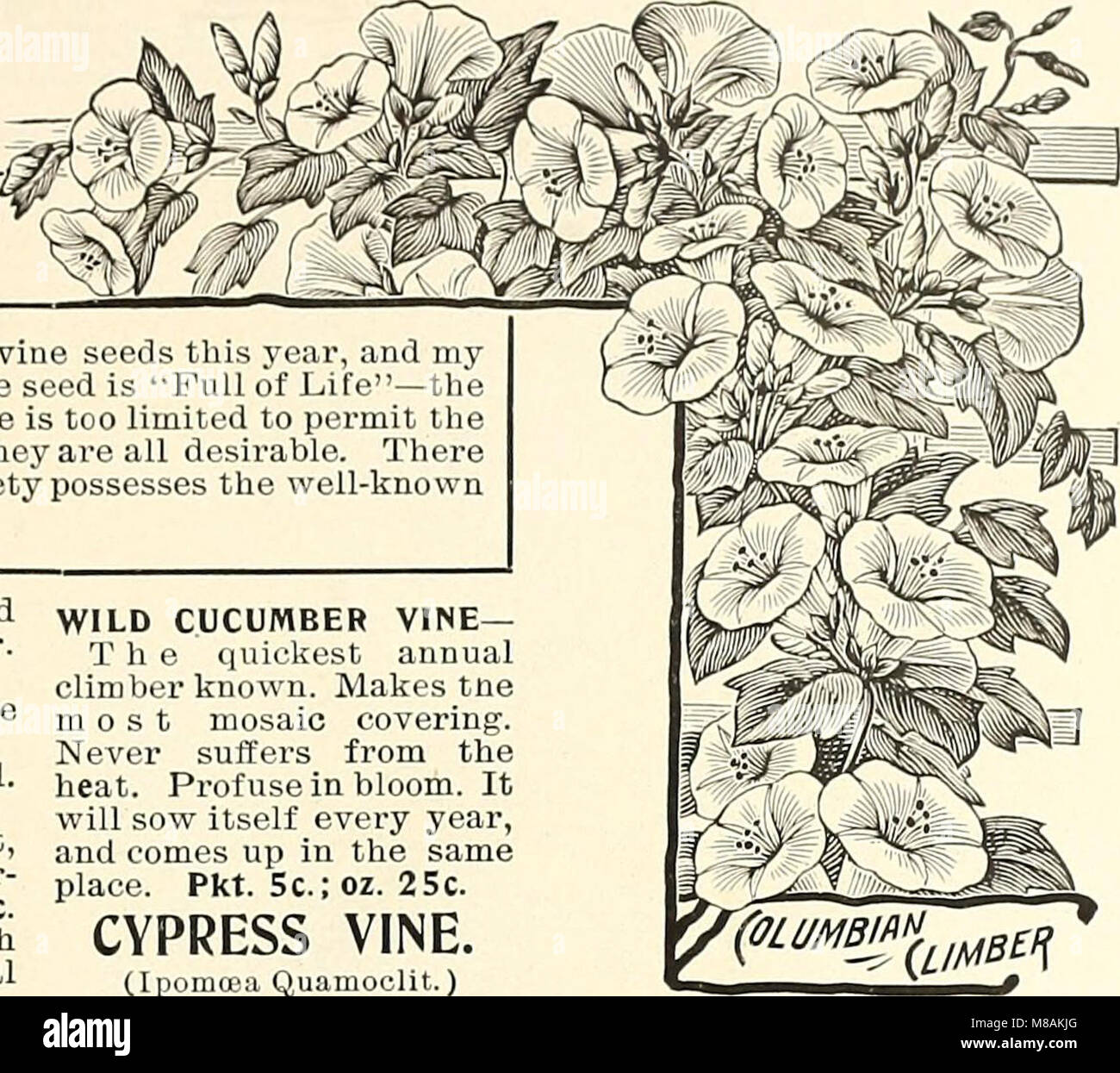 The 1905 H.W. Buckbee Seed and Plant Guide provides a comprehensive ...