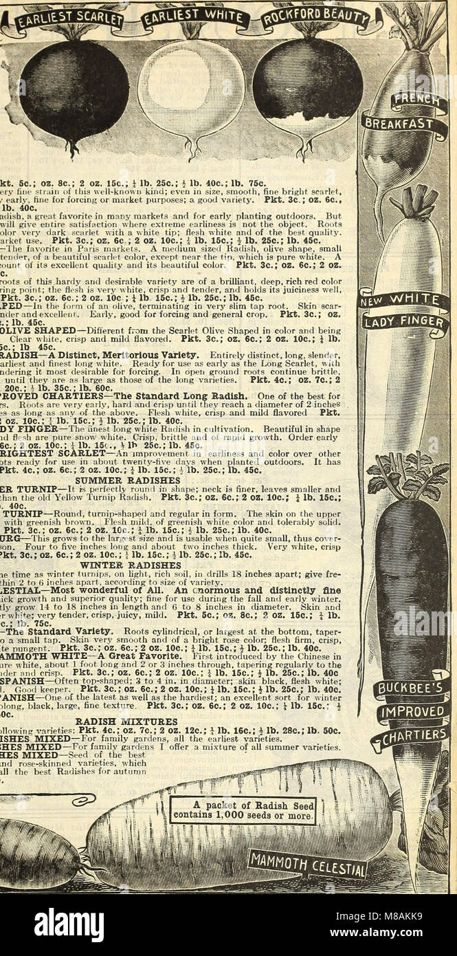 H.W. Buckbee seed and plant guide 1907 (1907) (14579146217 Stock Photo ...