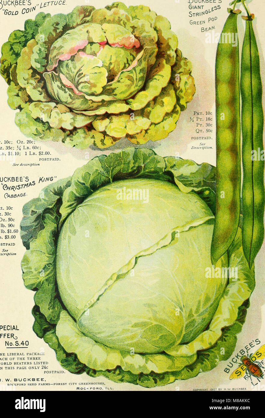 H.W. Buckbee seed and plant guide 1907 (1907) (14742549526 Stock Photo ...