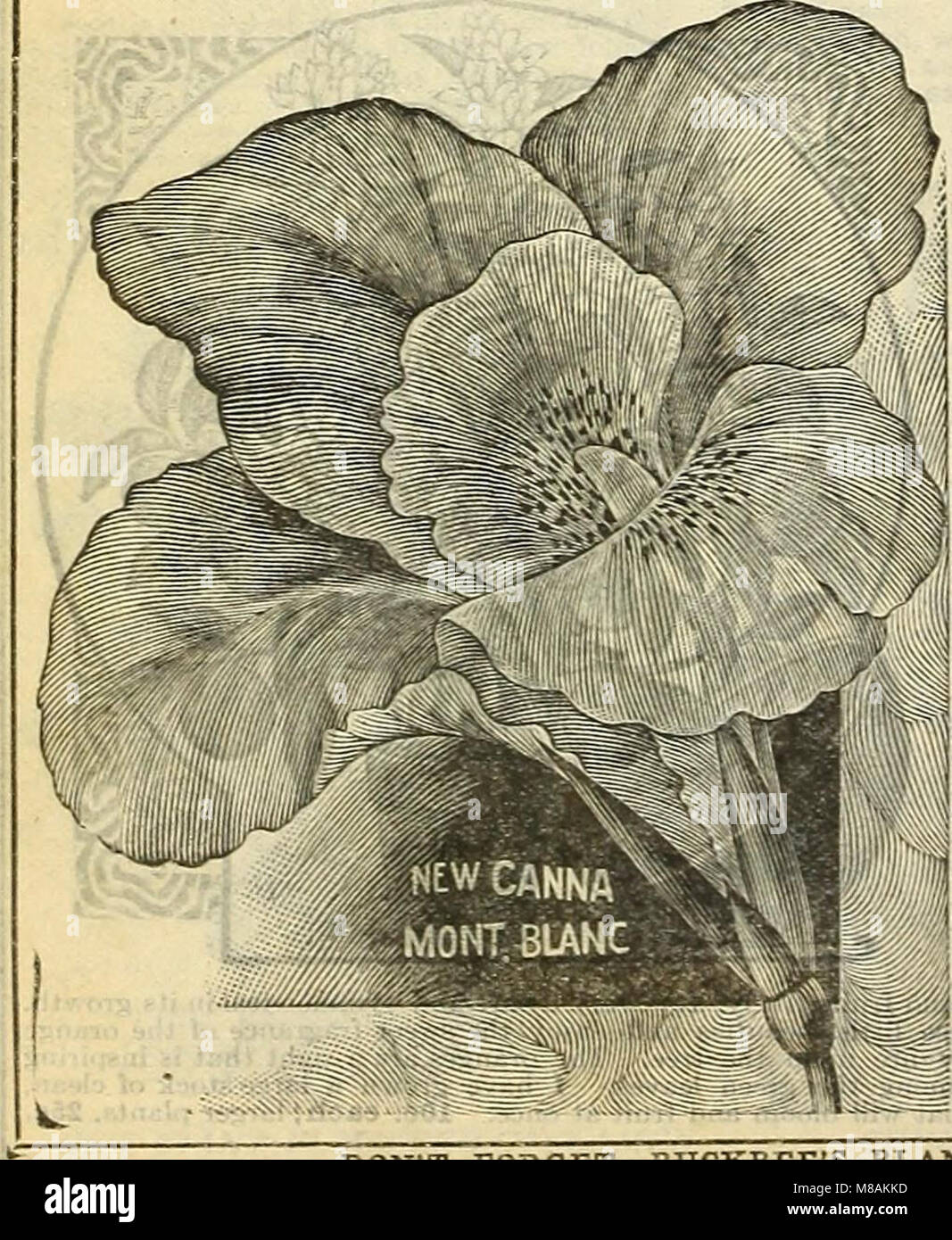 The H.W. Buckbee Seed and Plant Guide (1907) is a gardening reference ...