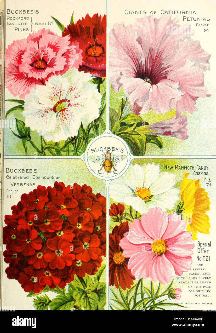 The 1907 'H.W. Buckbee Seed and Plant Guide' offers detailed ...