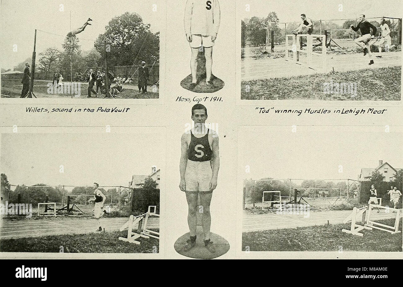 A 1913 work on Halcyon, exploring the mythology, natural history, and ...