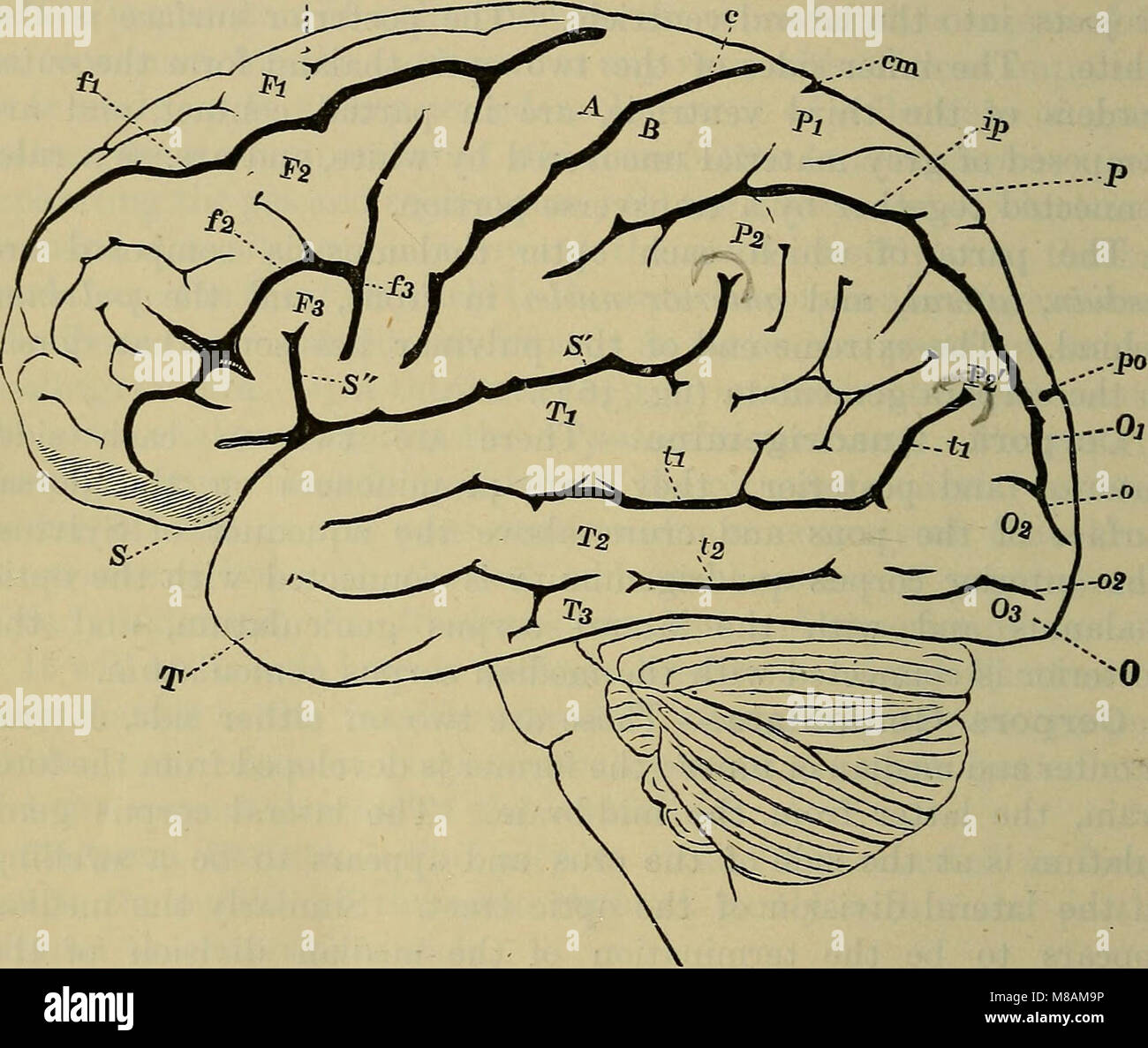 The 1892 Handbook of Physiology offers a comprehensive guide to human ...