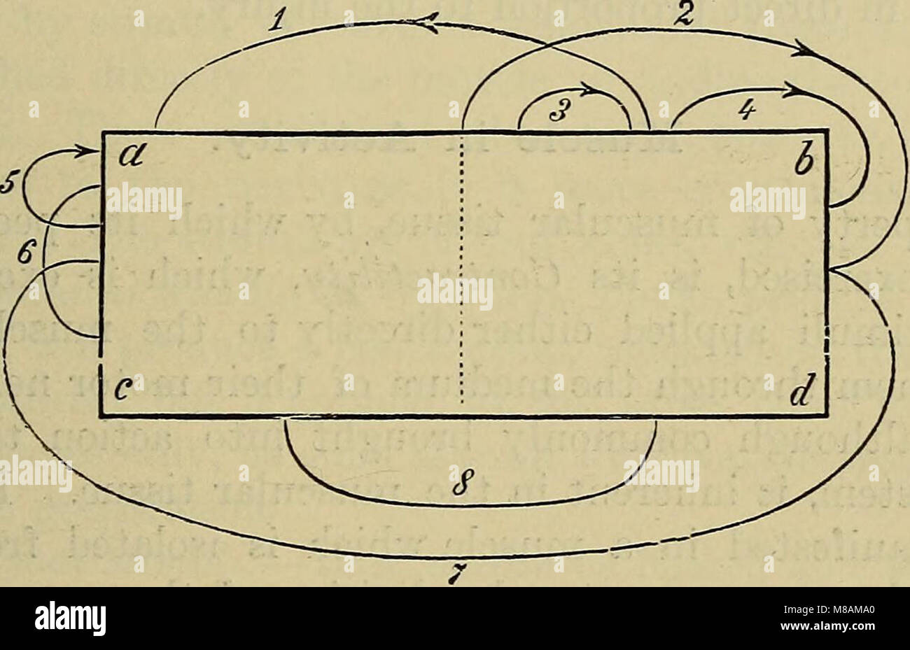 This 1892 handbook provides a detailed overview of human physiology ...