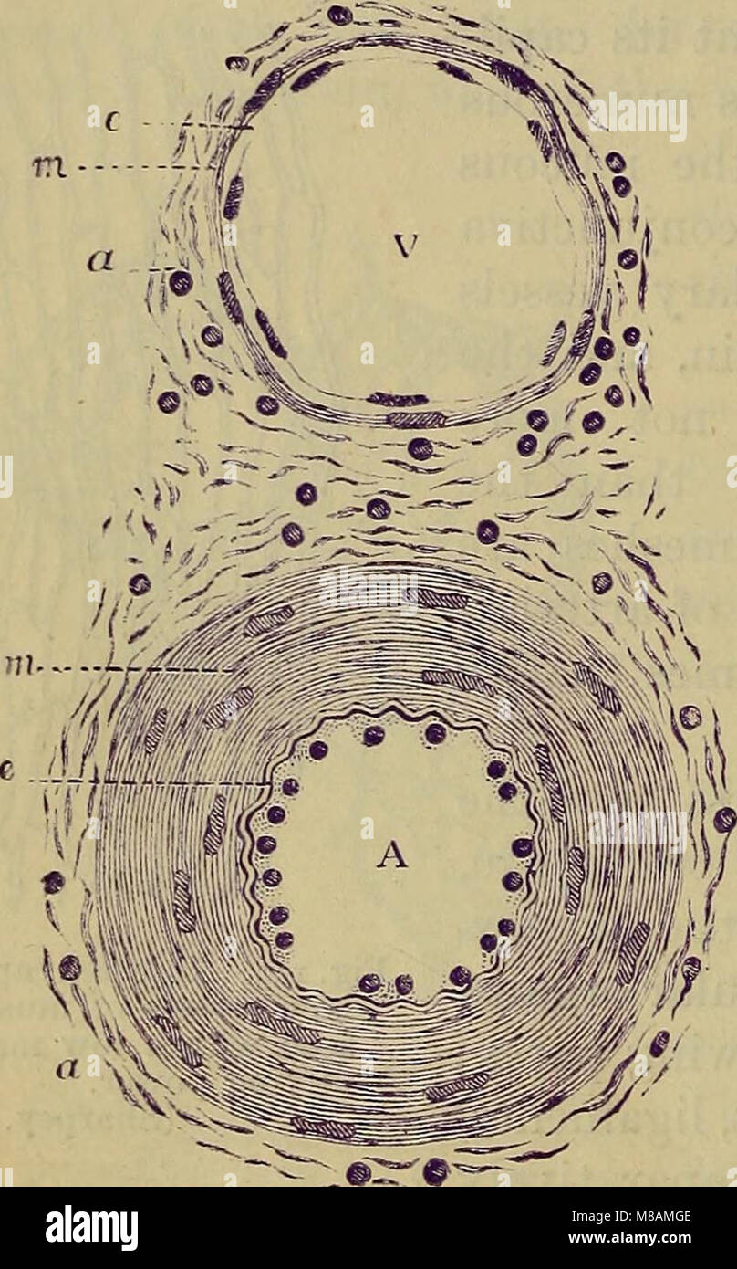 The Hand-book of Physiology, published in 1892, provides an overview of ...