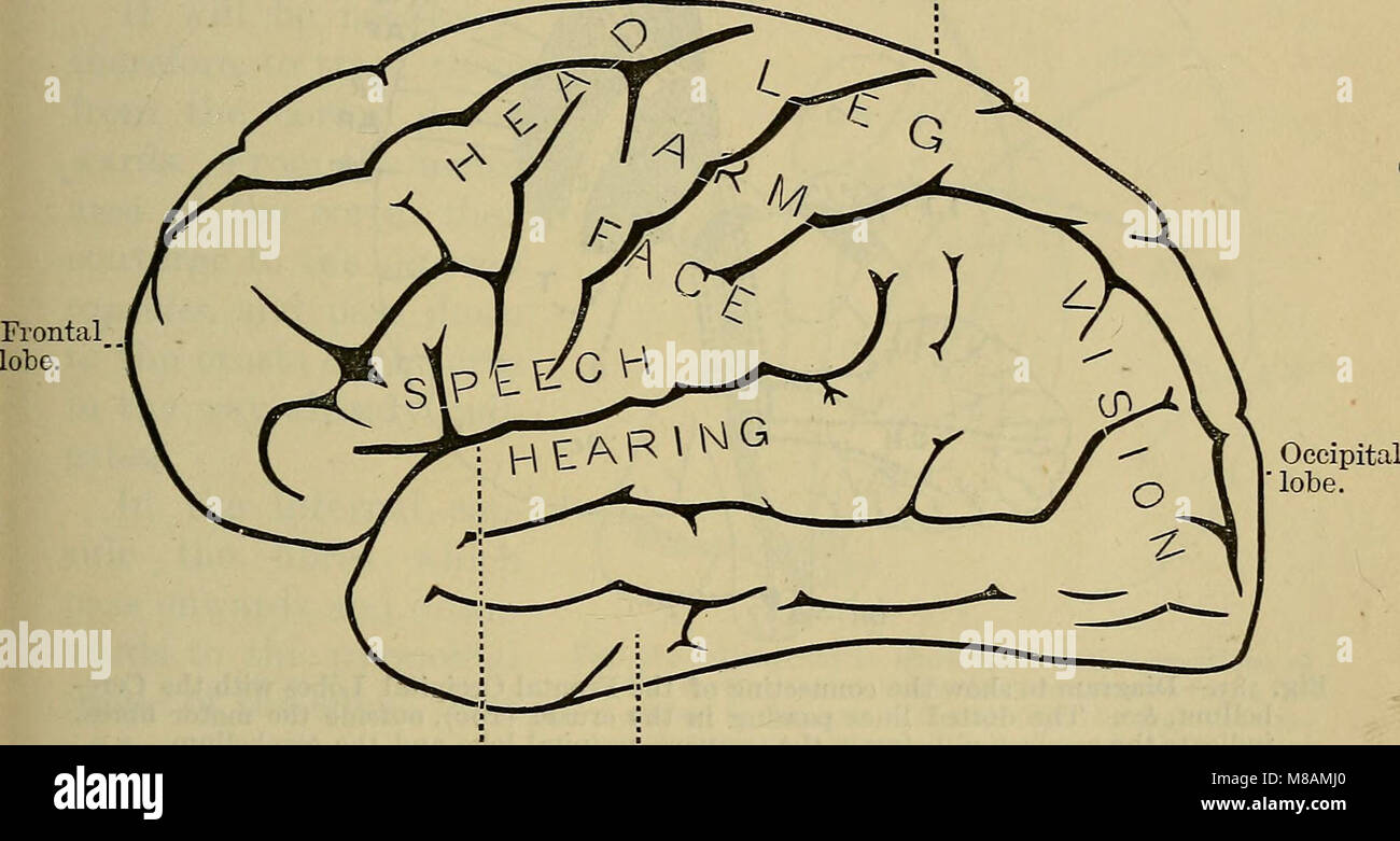 The 1892 Hand-book of Physiology provides a detailed overview of human ...