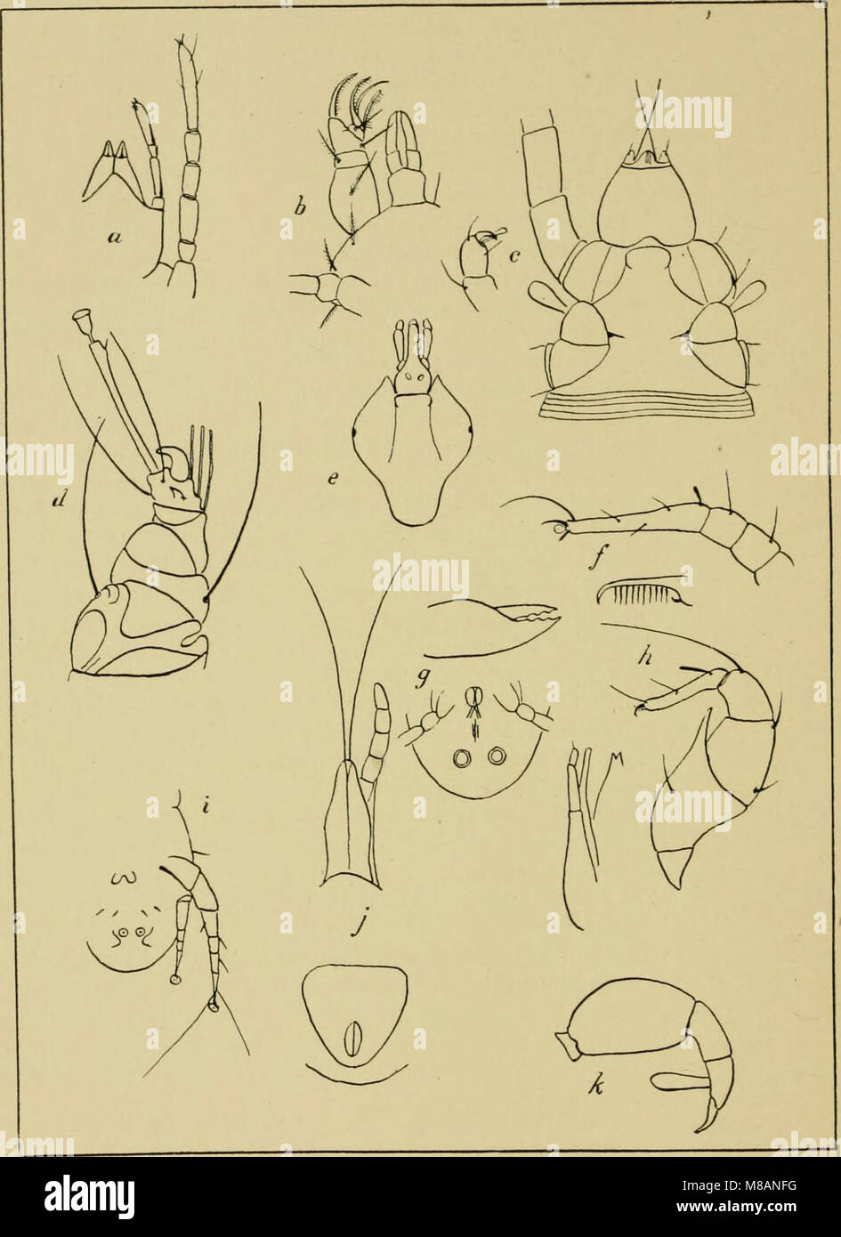 The Handbook of Medical Entomology (1915) provides a comprehensive ...