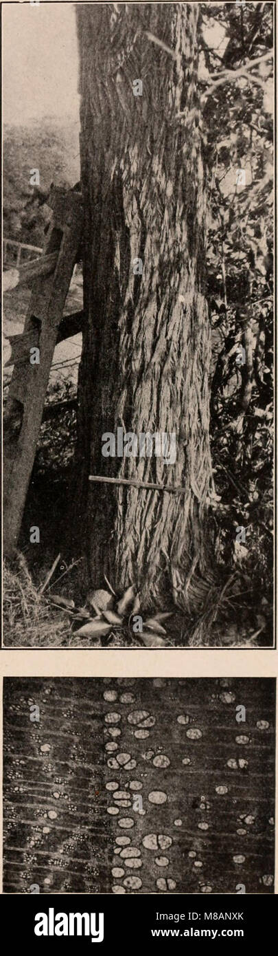 This 1907 handbook provides a detailed, photo-illustrated guide to the ...