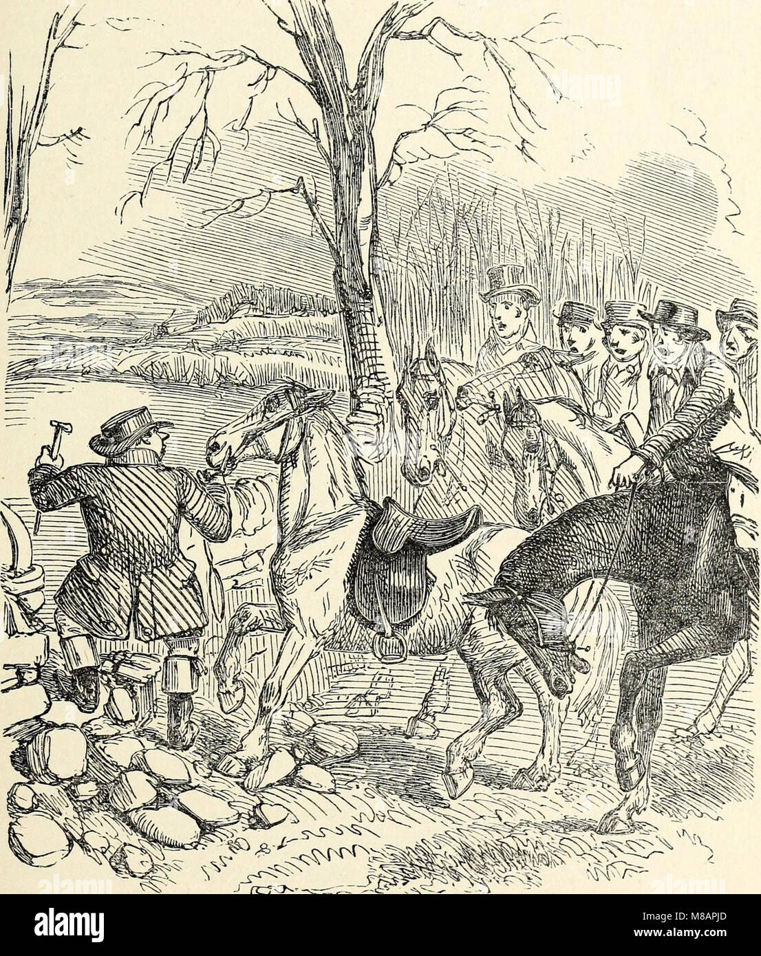 Handley cross robert smith surtees hi-res stock photography and images ...