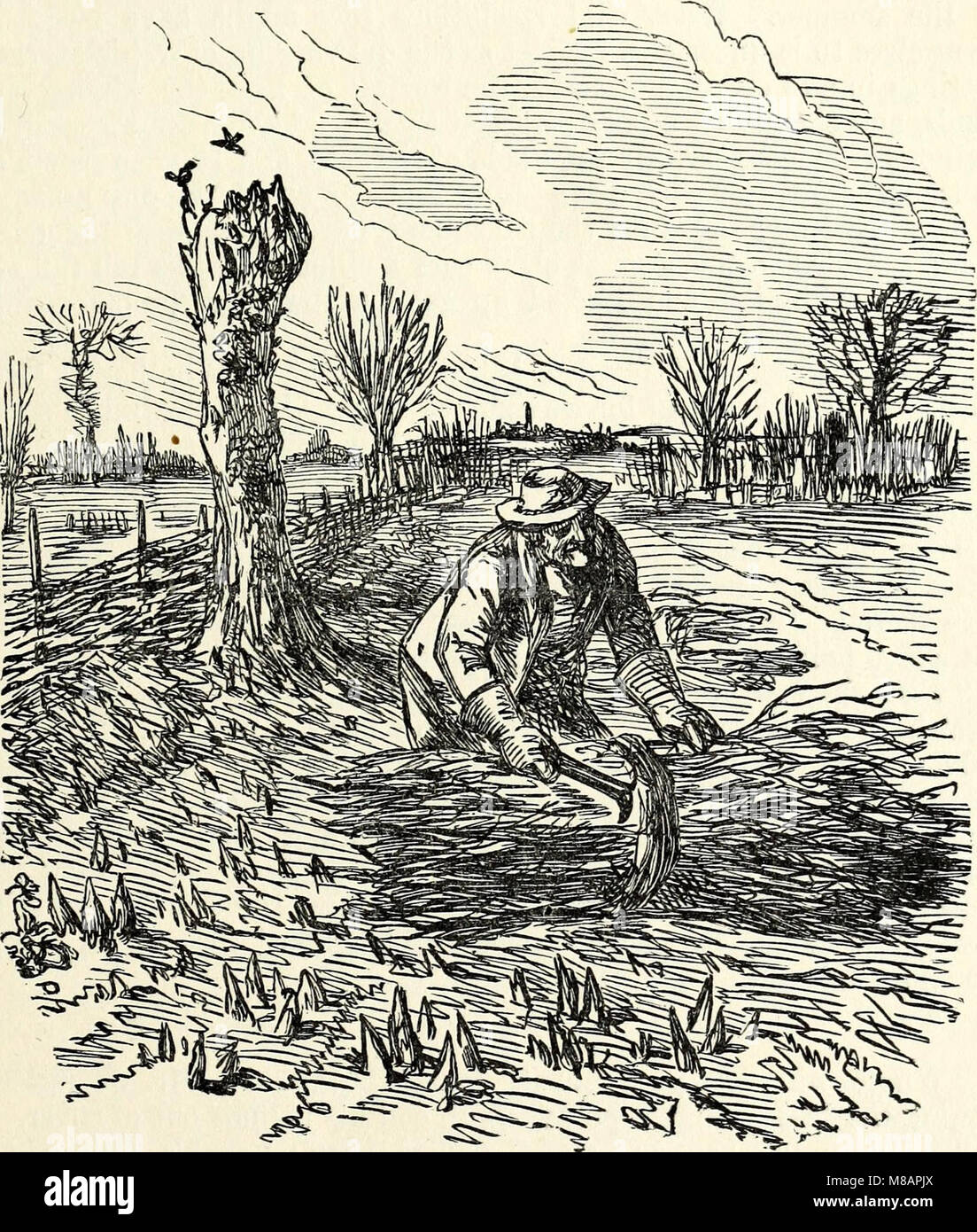 'Handley Cross' (1892) by Robert Smith Surtees follows the adventures ...