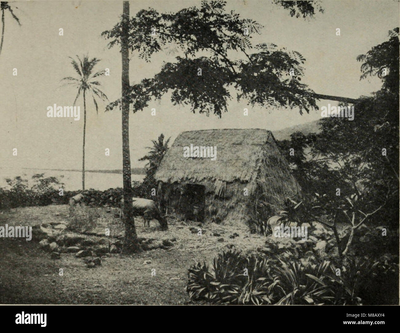 This 1921 work examines Hawaiiâ€™s history, from its early cultural ...