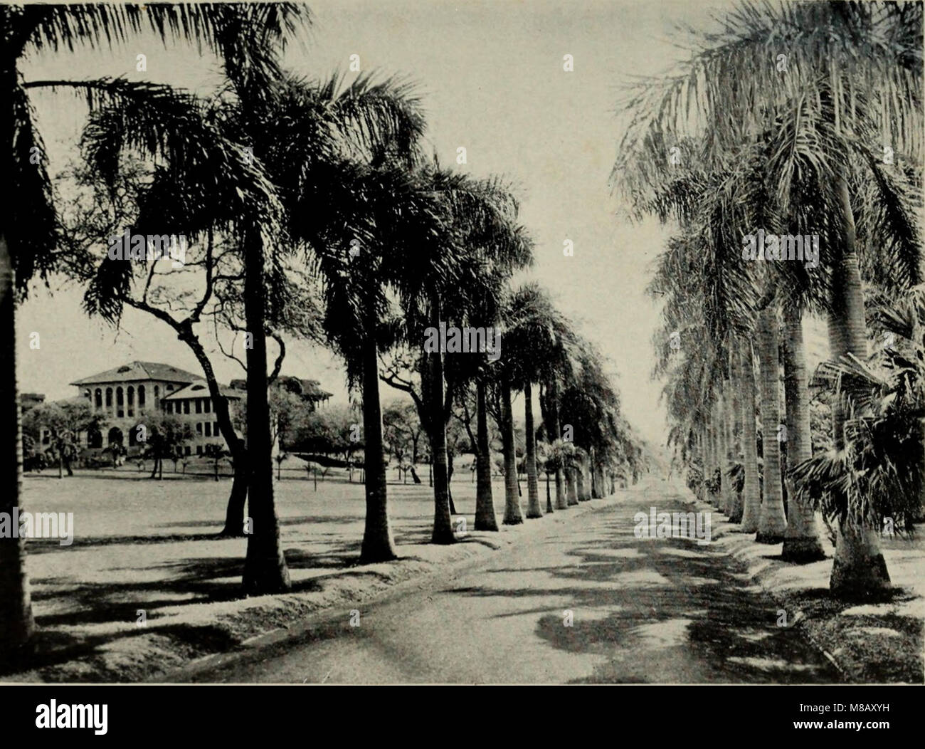 'Hawaii, Past and Present' (1921) is a historical account of Hawaii ...