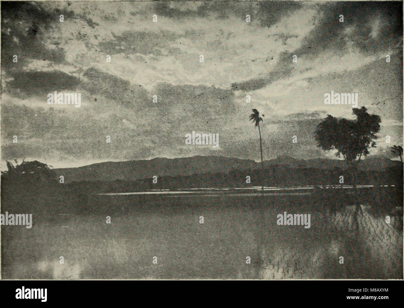 'Hawaii, Past and Present' (1921) offers a historical account of Hawaii ...