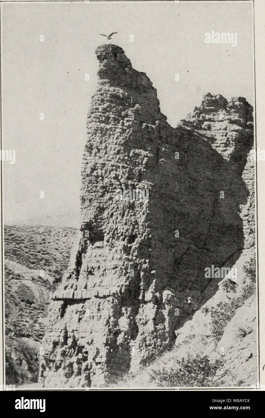 Haynes new guide and motorists' complete road log of Yellowstone ...