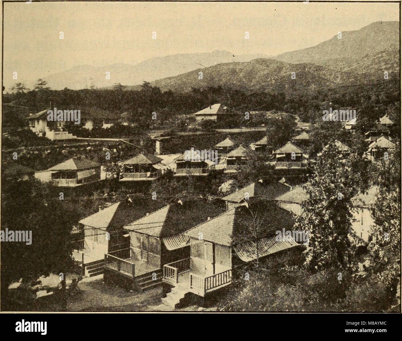 Health in Home and Town (1912) is a guide to promoting health and well ...