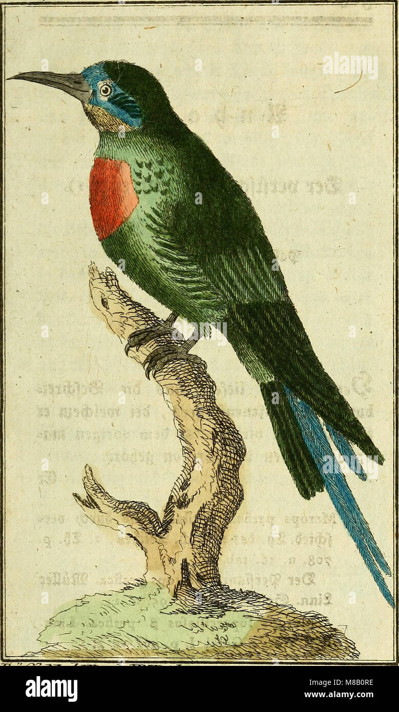 A 1786 edition of Buffon's work on the natural history of birds ...