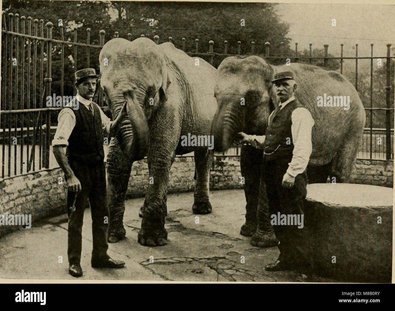Published in 1918, 'Herself-Ireland' offers an in-depth look at Irish ...
