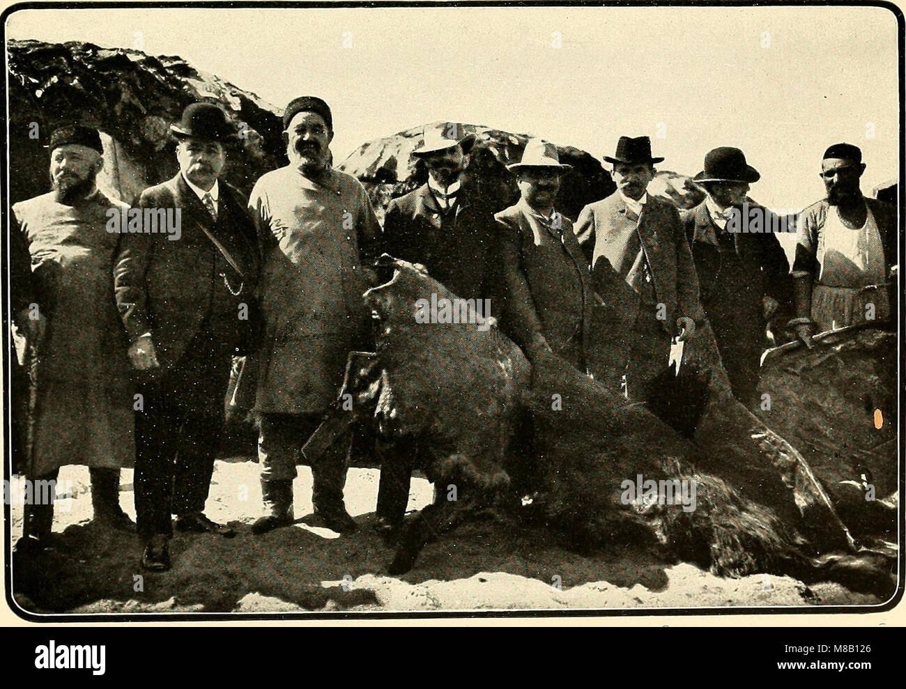 'Hides and Skins from the Animal's Back to the Tannery Door' (1912 ...