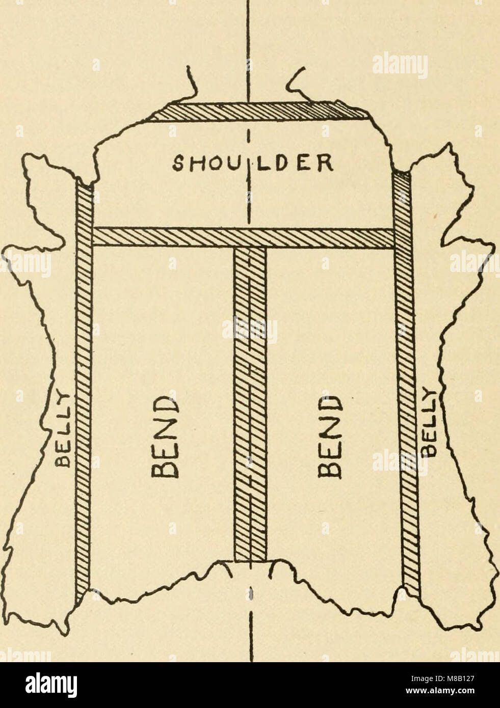 This 1912 work explains the process of tanning hides and skins ...