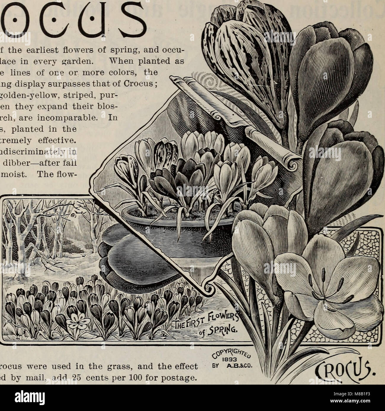 Sowing autumn seeds hi-res stock photography and images - Alamy