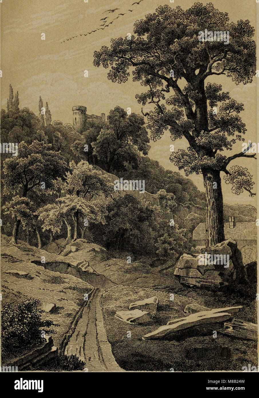 *Die Pflanzendecke der Erde* (1859) offers a popular representation of ...