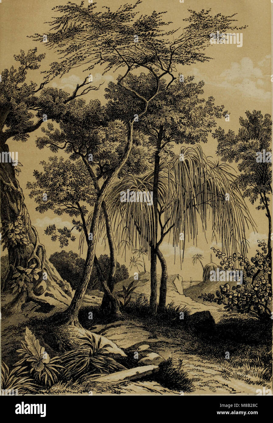 This 1859 work offers a popular presentation of plant geography ...