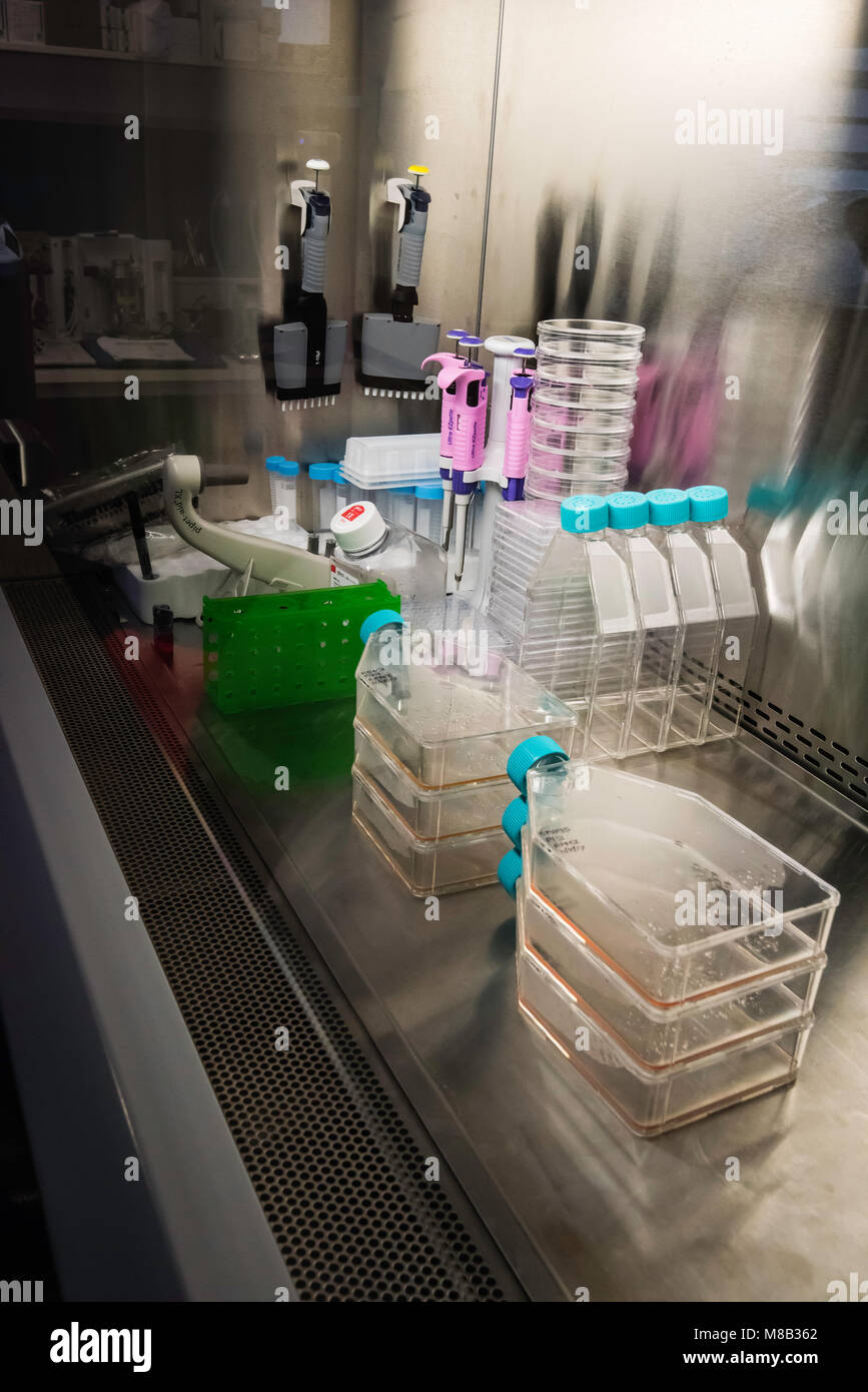 Hos[ital medical lab equipment Stock Photo - Alamy
