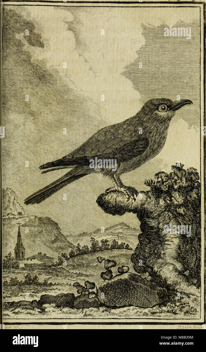 An 18th-century work on the natural history of birds, published in 1775 ...
