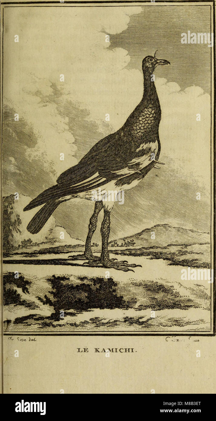 This 1780 work on the natural history of birds presents detailed ...