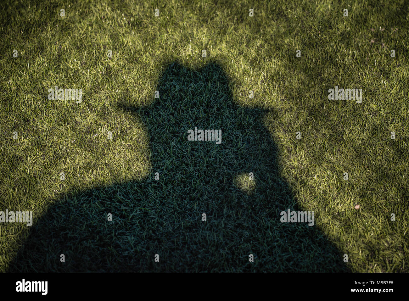 Photographers silhouette shadow selfie Stock Photo - Alamy