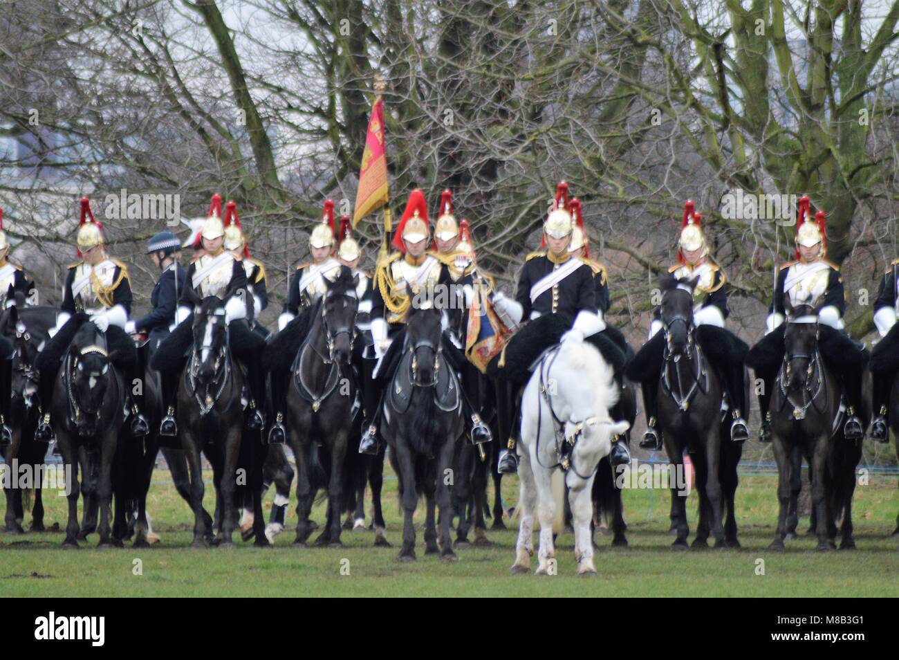 Major Benjamin Bathurst CBE Commanding Officer of the Household ...