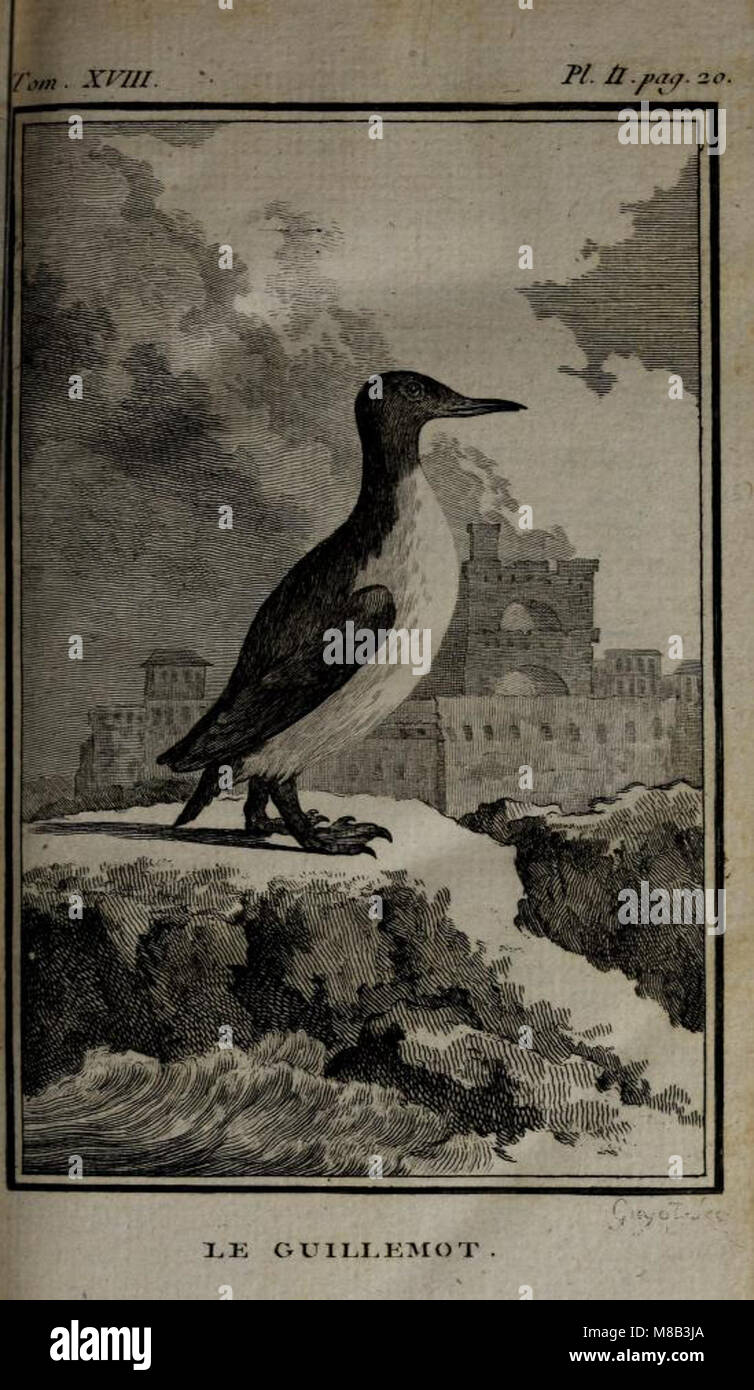 This 1785 work provides a detailed natural history of birds, offering ...