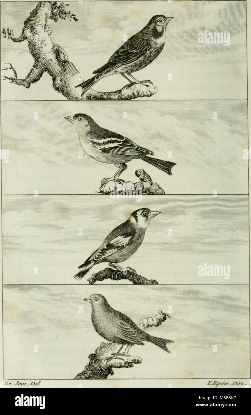 'Histoire Naturelle de Buffon' (1801) is a foundational work in the ...