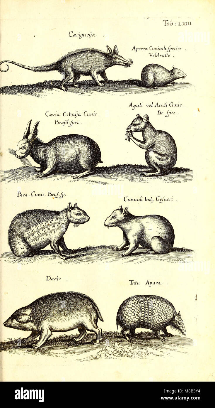 'Historiae Naturalism' is a multi-volume work describing various animal ...