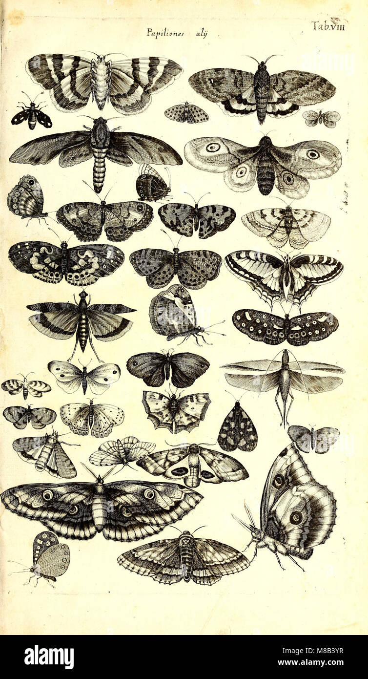This work from the 18th century covers natural history with a focus on ...