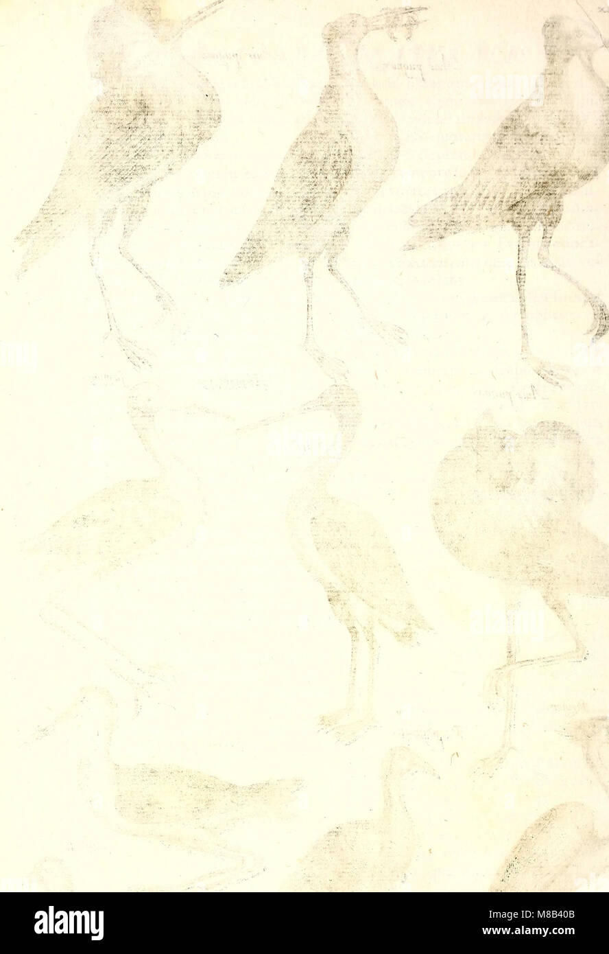 This 18th-century work offers a comprehensive study of various animal ...
