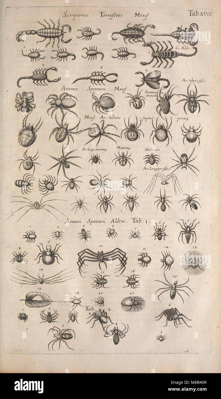 This work, a natural history text, focuses on quadrupeds, snakes ...