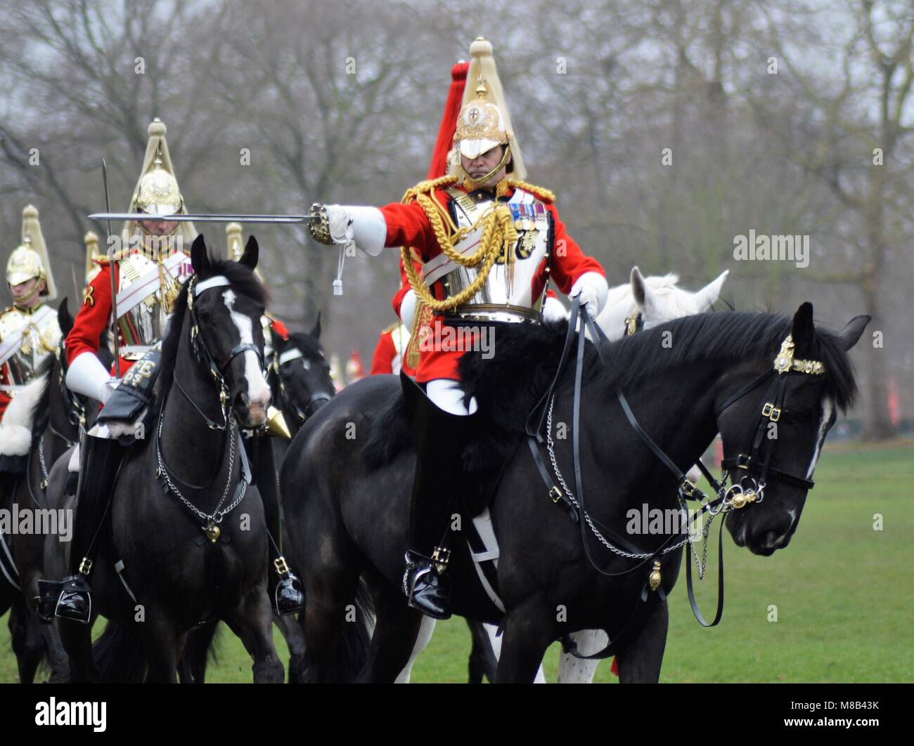 Major Benjamin Bathurst CBE Commanding Officer of the Household ...