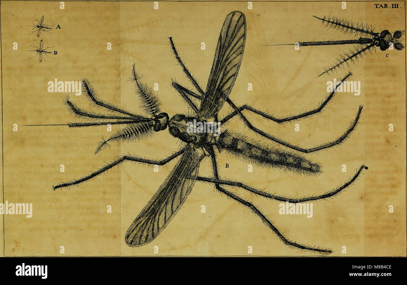 'Historia Insectorum Generalis' (1685) is a work on the general history ...