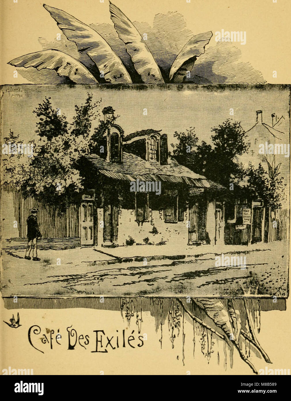 This guide provides a detailed historical account of New Orleans and ...