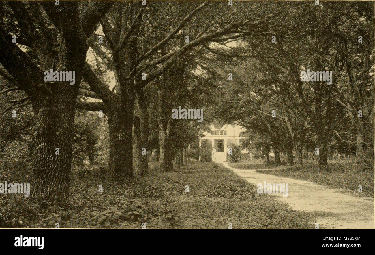 *Historic Towns of the Southern States* (1904) explores the history ...