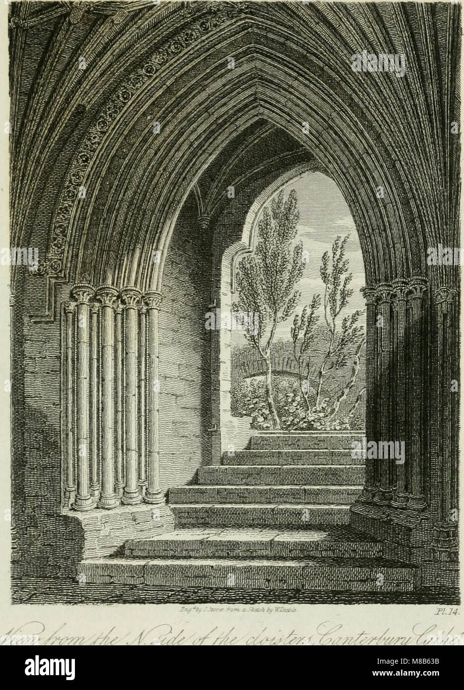 This work explores the history and architecture of cathedral churches ...