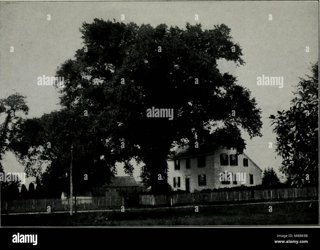 This genealogical work traces the history and lineage of the Bicknell ...