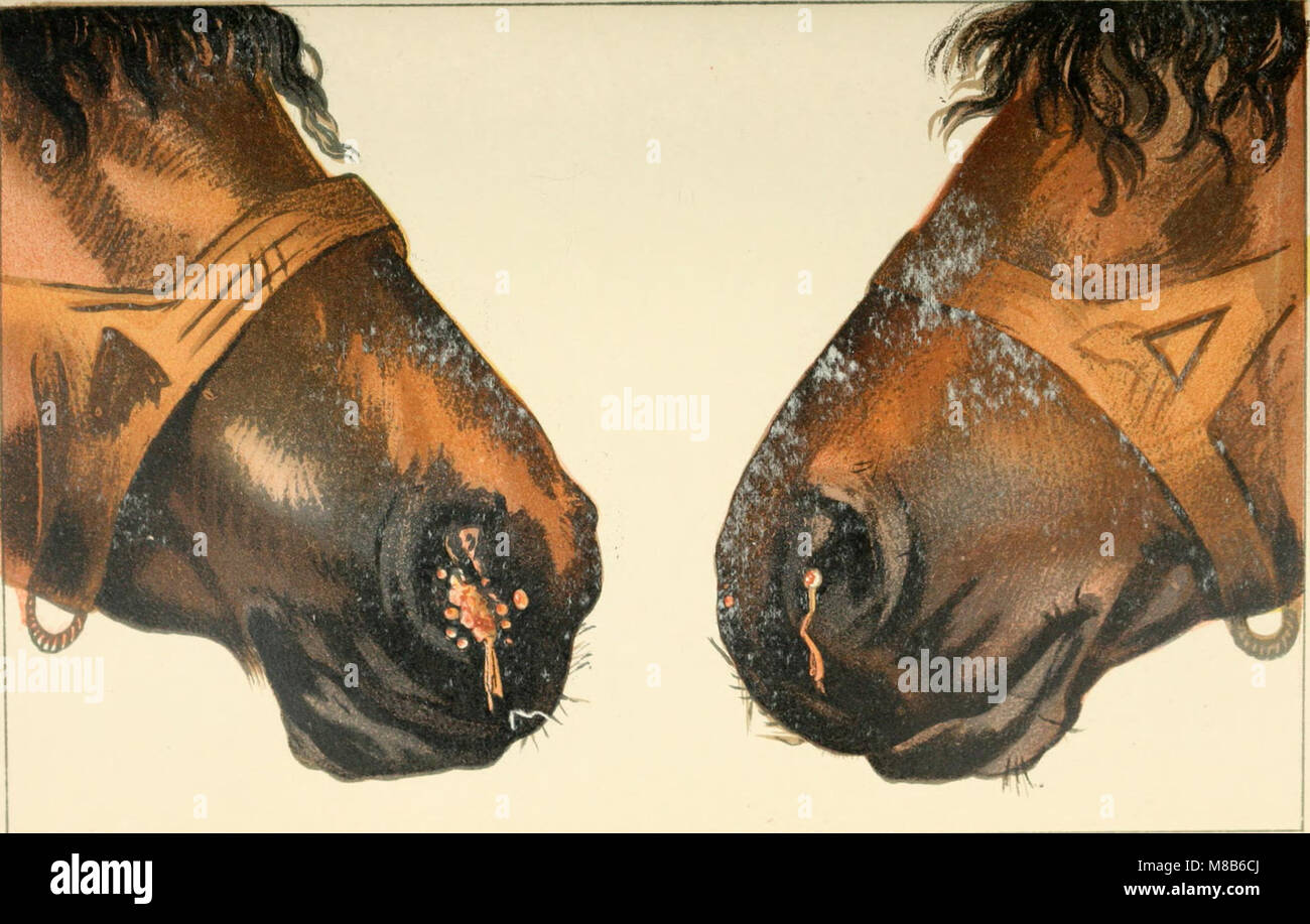 The History and Pathology of Vaccination (1889) covers the development ...