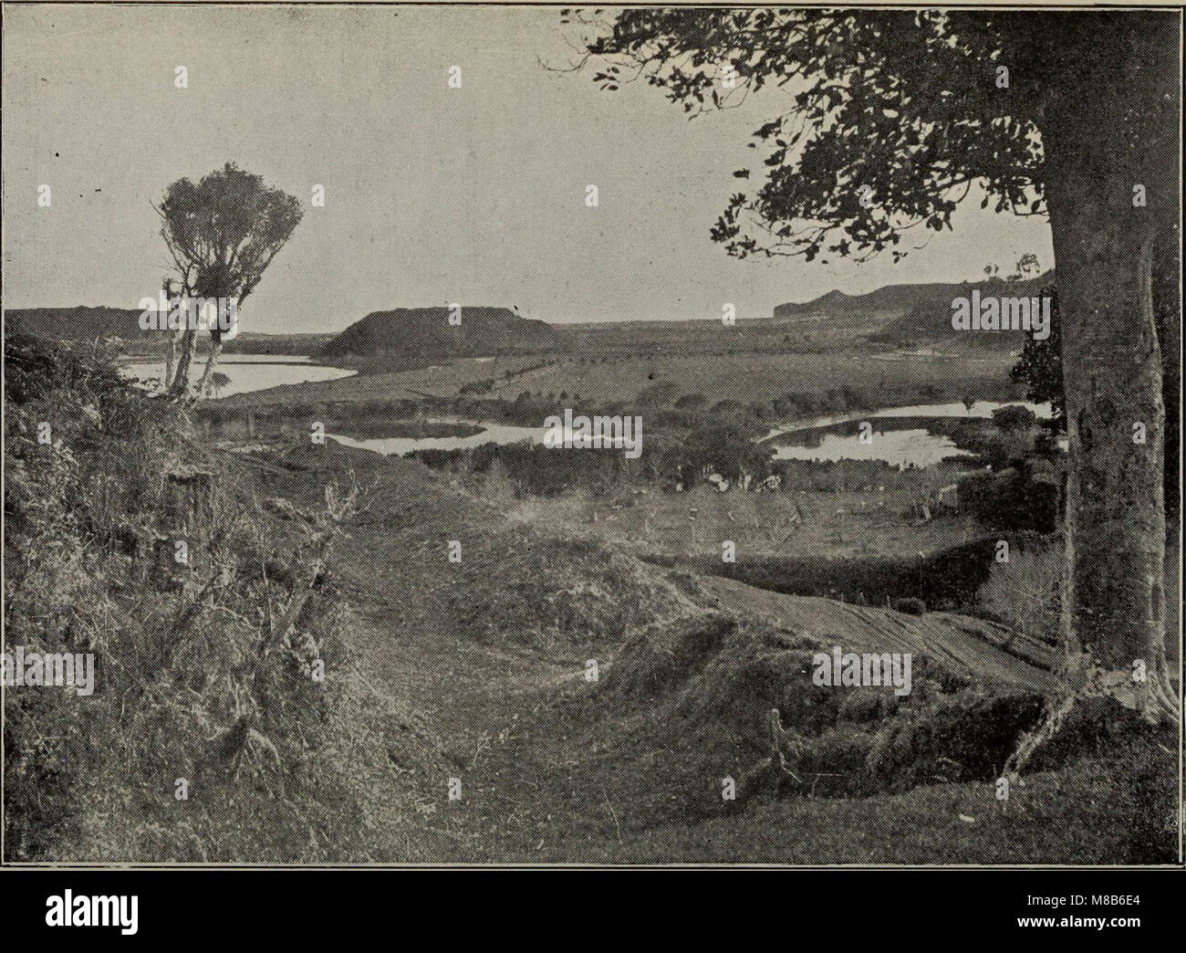 History and traditions of the Maoris of the west coast, North Island of ...