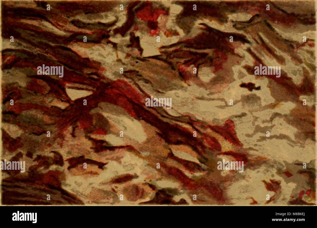 'History and Uses of Limestones and Marbles' (1883) explores the ...