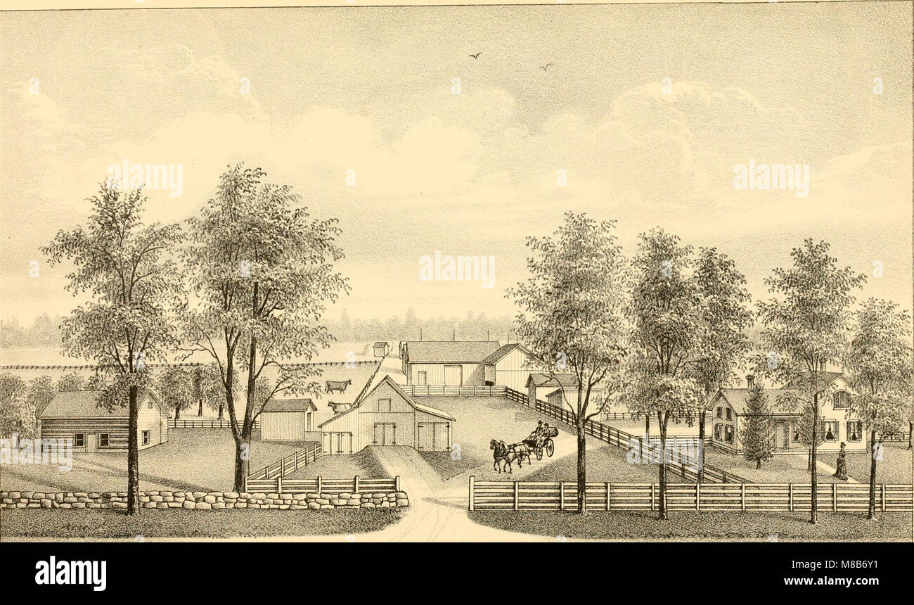 This 1879 history of Branch County, Michigan includes biographical ...