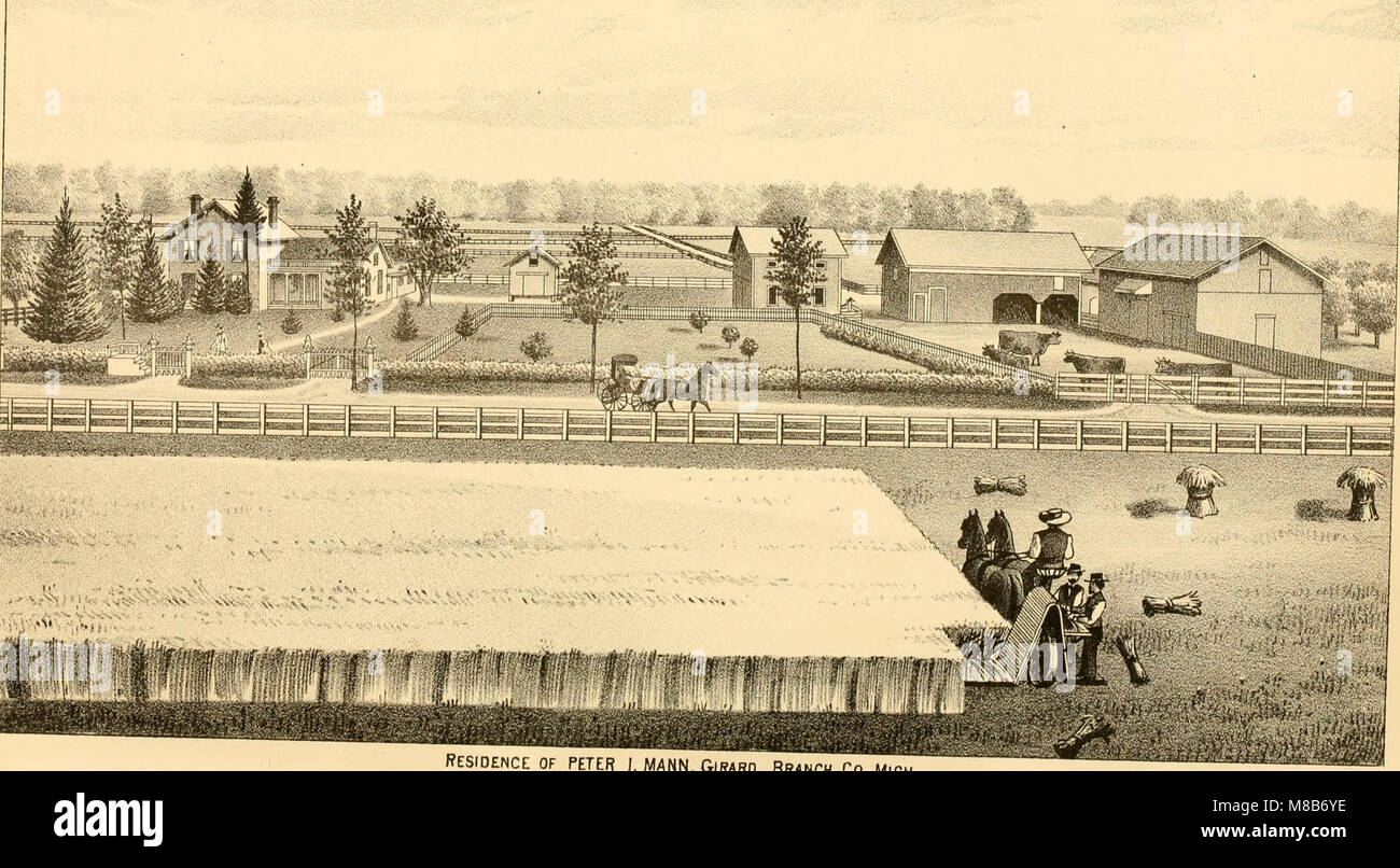 The 'History of Branch County, Michigan' (1879) provides a historical ...