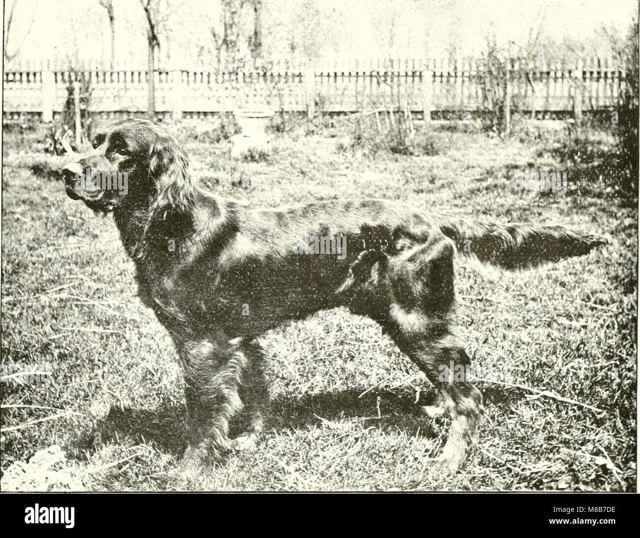 This 1894 book covers the history of Dwight, focusing on its ...