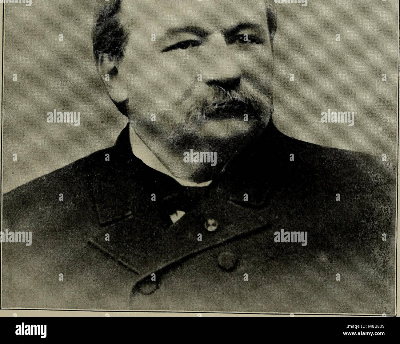 This work traces the history of the Republican Party in Illinois ...
